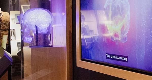 Interactive brain exhibit at COSI highlights department research ...
