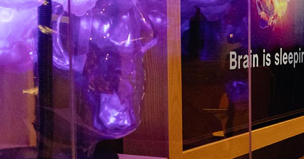 Ruchika Prakash on engaging the public with the complexities of the ...